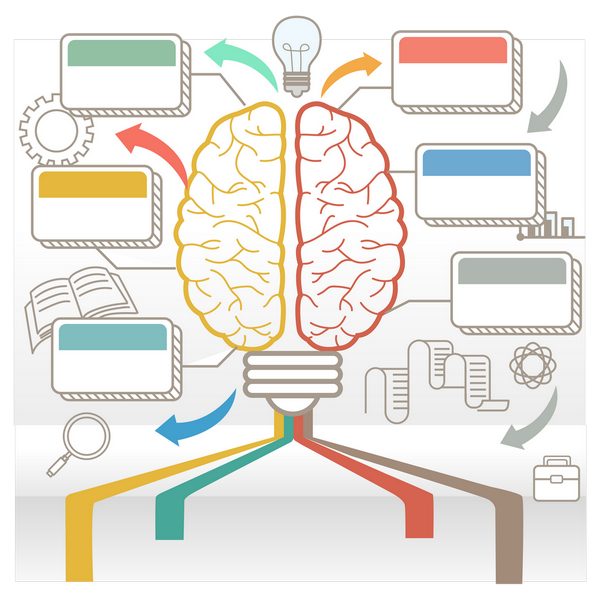 Mind Mapping A Practical Guide To Improve Brain Function